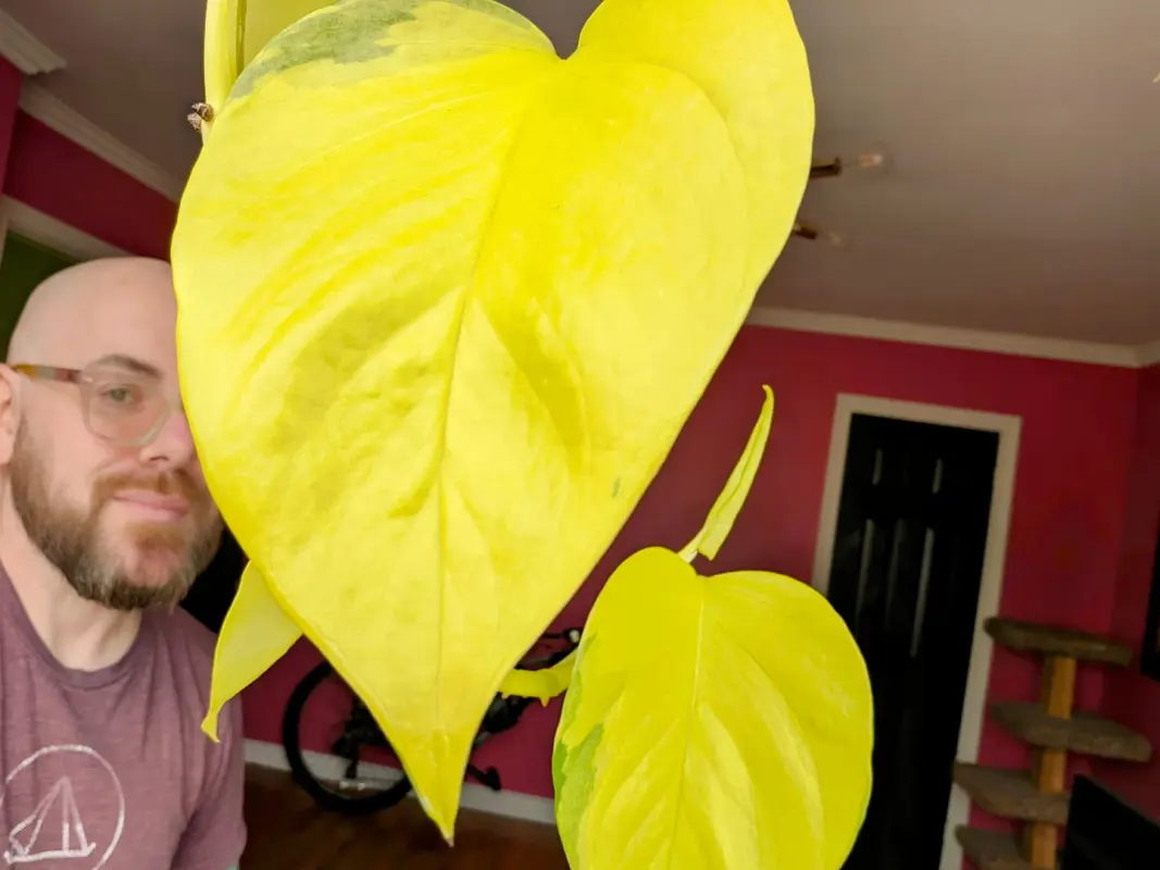 IMG 20240406 120223 127 — Postimages