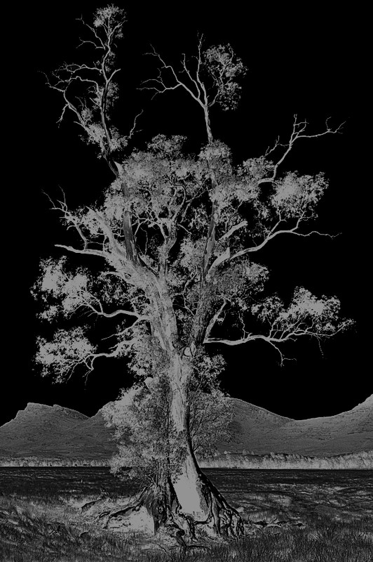 Post Processing Challenge #466 - PentaxForums.com