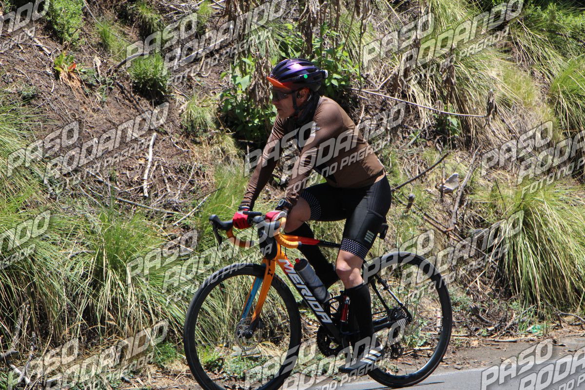 IMG 4272 wm 172873 2000000002 watermarked — Postimages