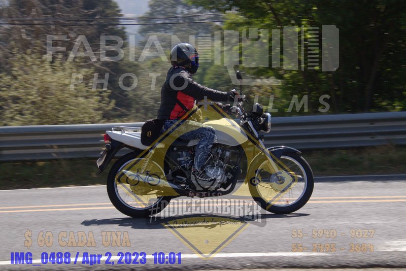 Album — Postimages