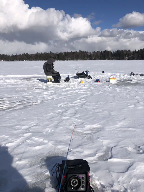 E6 Bba477 B11 C 4 F7 E Aaf6 9 Acb8 B8 Cc199 Postimages