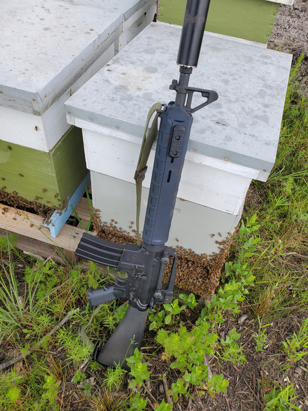 Anyone else have a Dissipator.... > General Discussion > AR15.COM