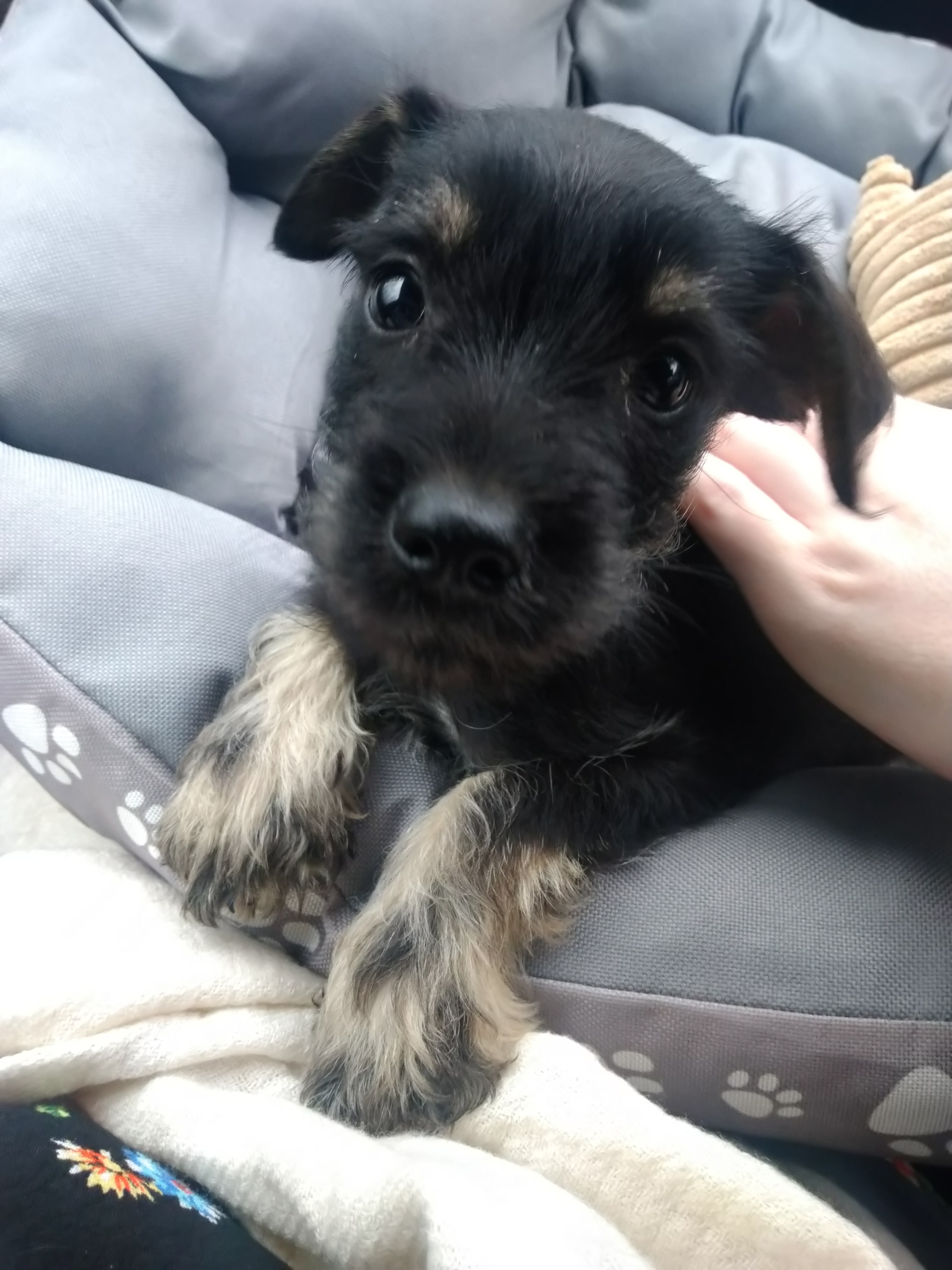 DSC 0507 — Postimages