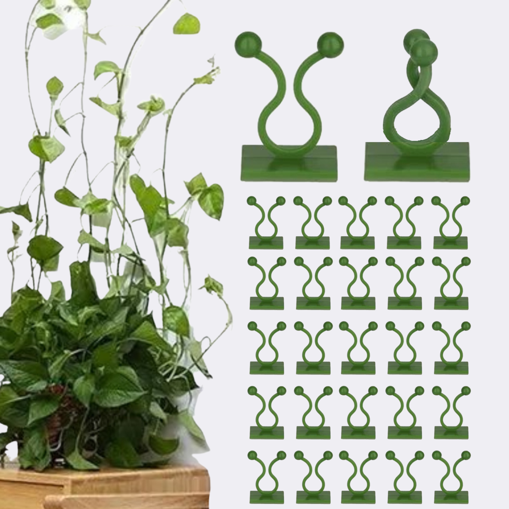 Copy of j Plant clips (1) — Postimages