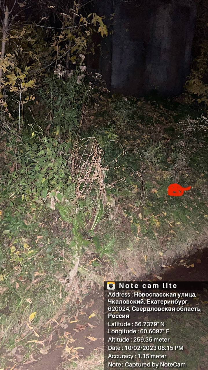 IMG 20231002 212924 515 — Postimages