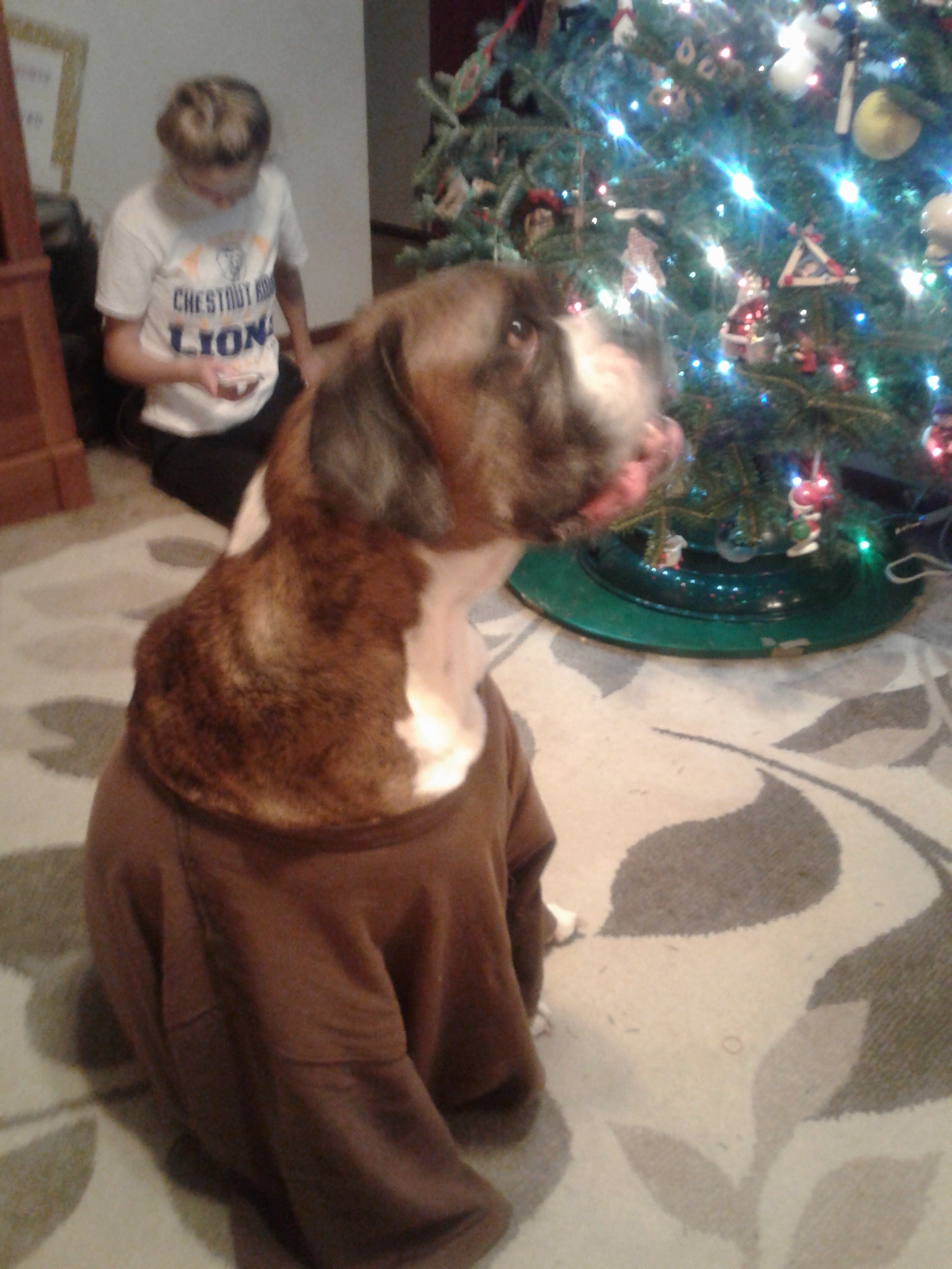 20210111 171854 — Postimages