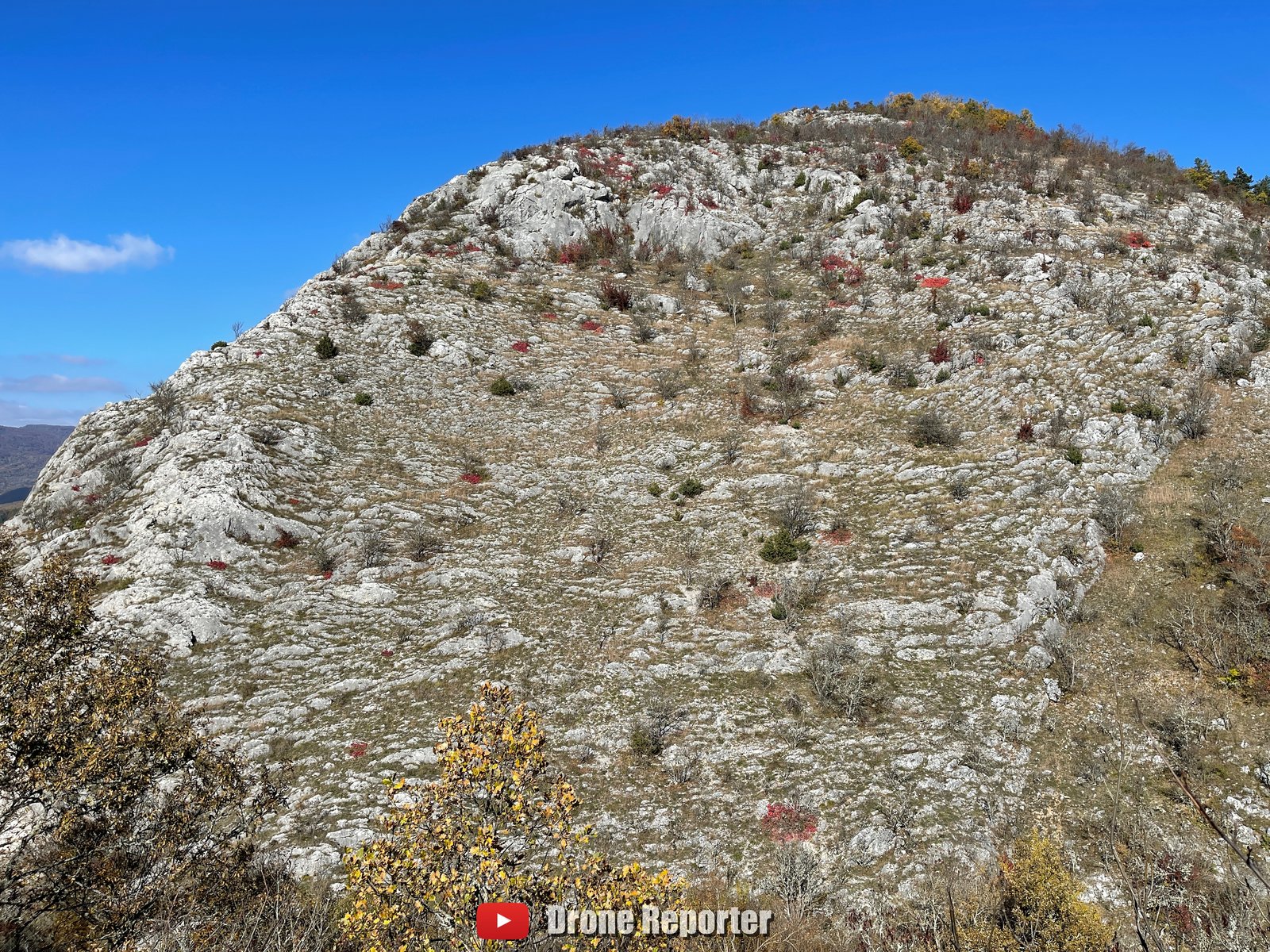 batch IMG 9022 — Postimages