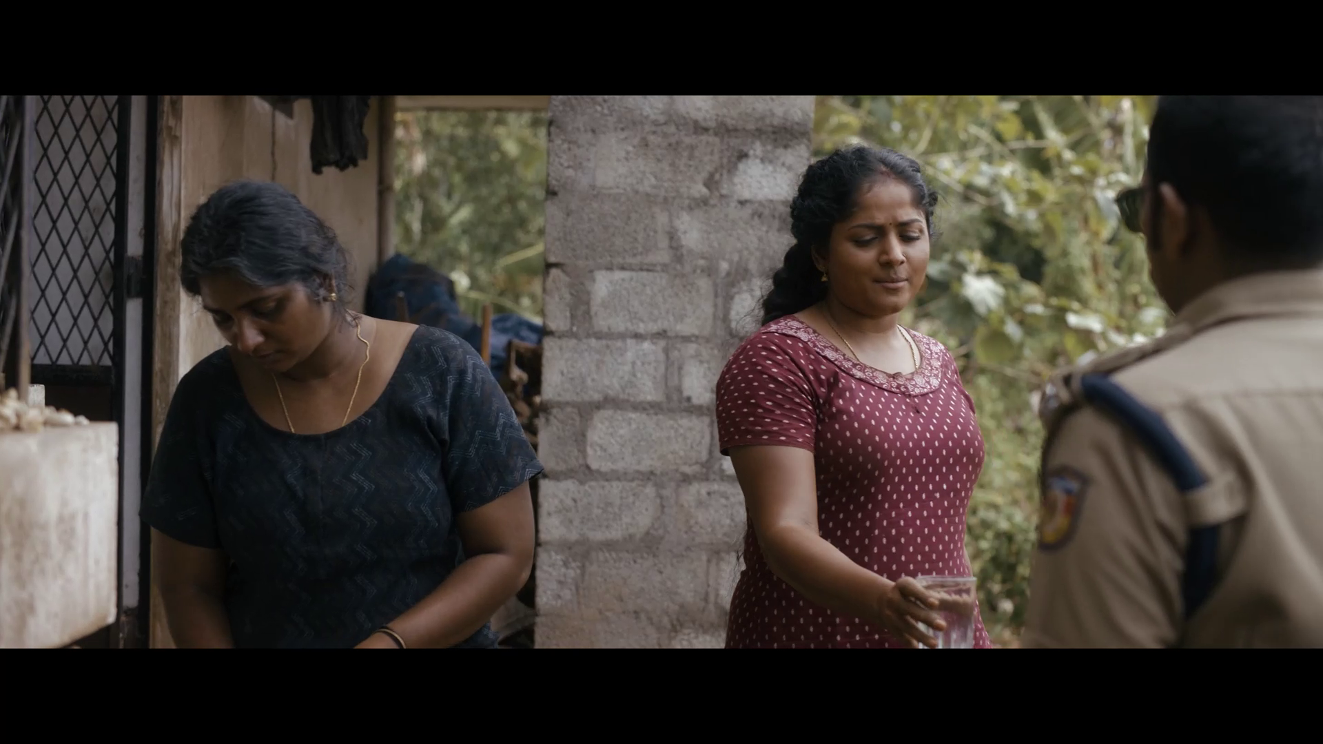 vlcsnap 2025 04 12 12h41m14s820 — Postimages