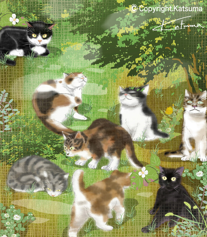 0 270279598 3188843881338395 7041563401419615928 n — Postimages