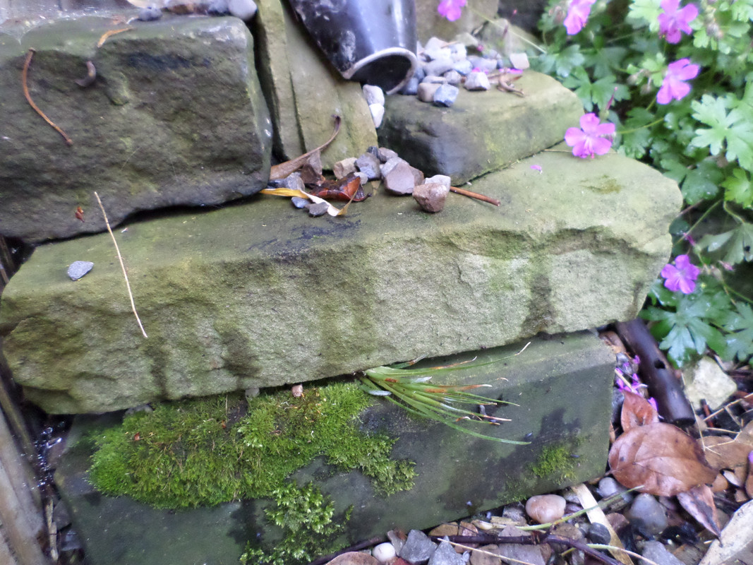 SAM 2899 — Postimages