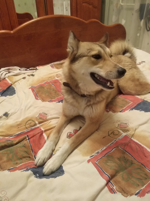 Lara on the bed in new flat — Postimages