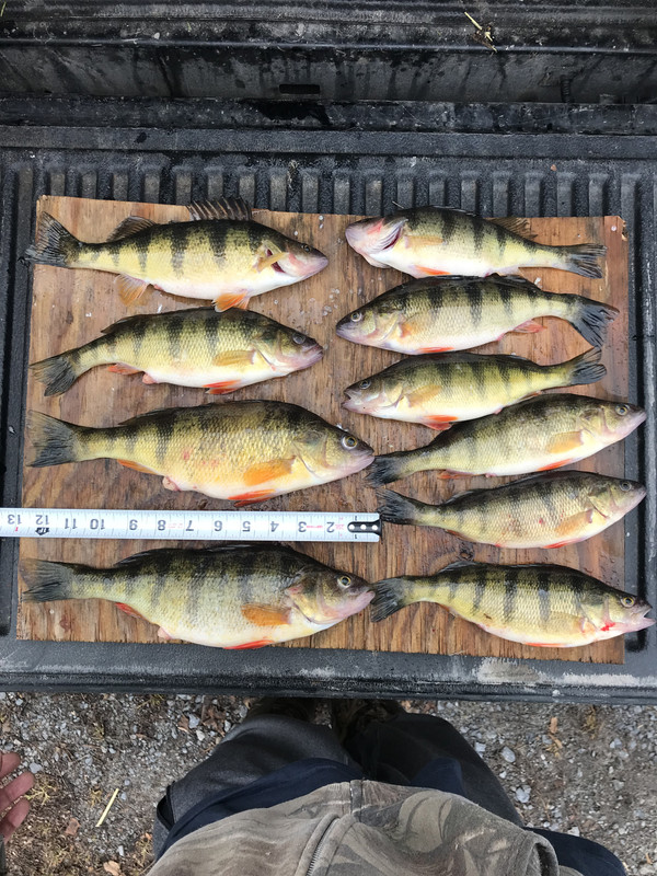 3538 B405 B2 C9 4448 95 B5 02 EAE3037286 — Postimages