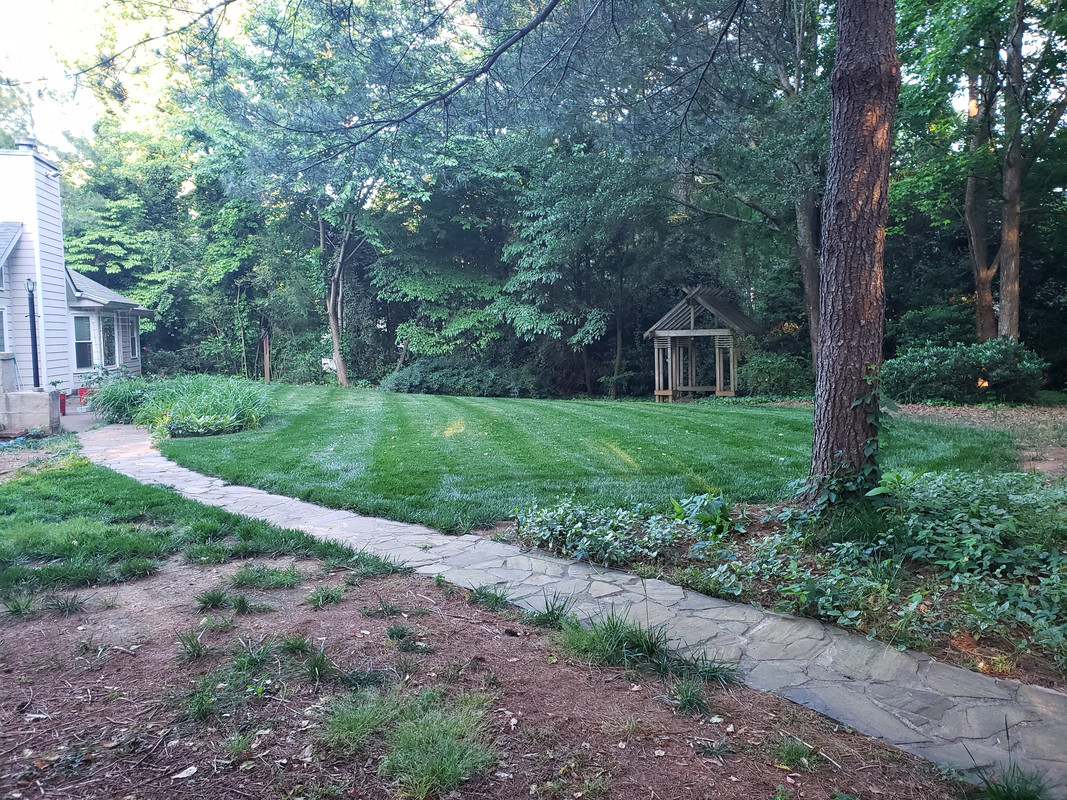 20190514 Back — Postimages