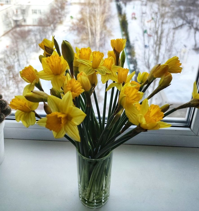 photo 2025 03 06 13 35 32 — Postimages