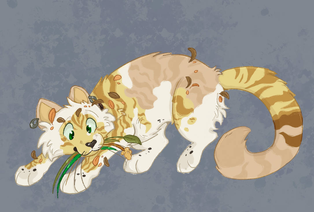 Album — Postimages