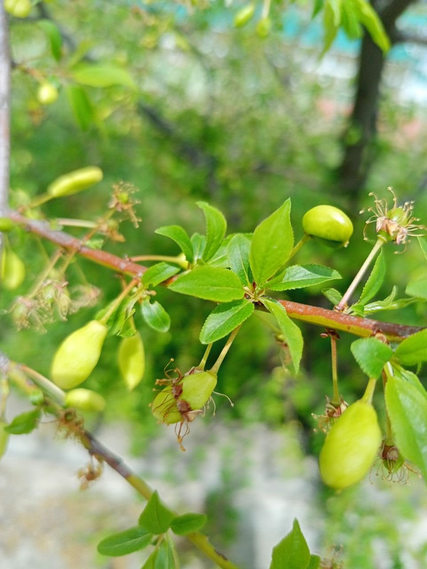 IMG 20230417 213713 025 — Postimages