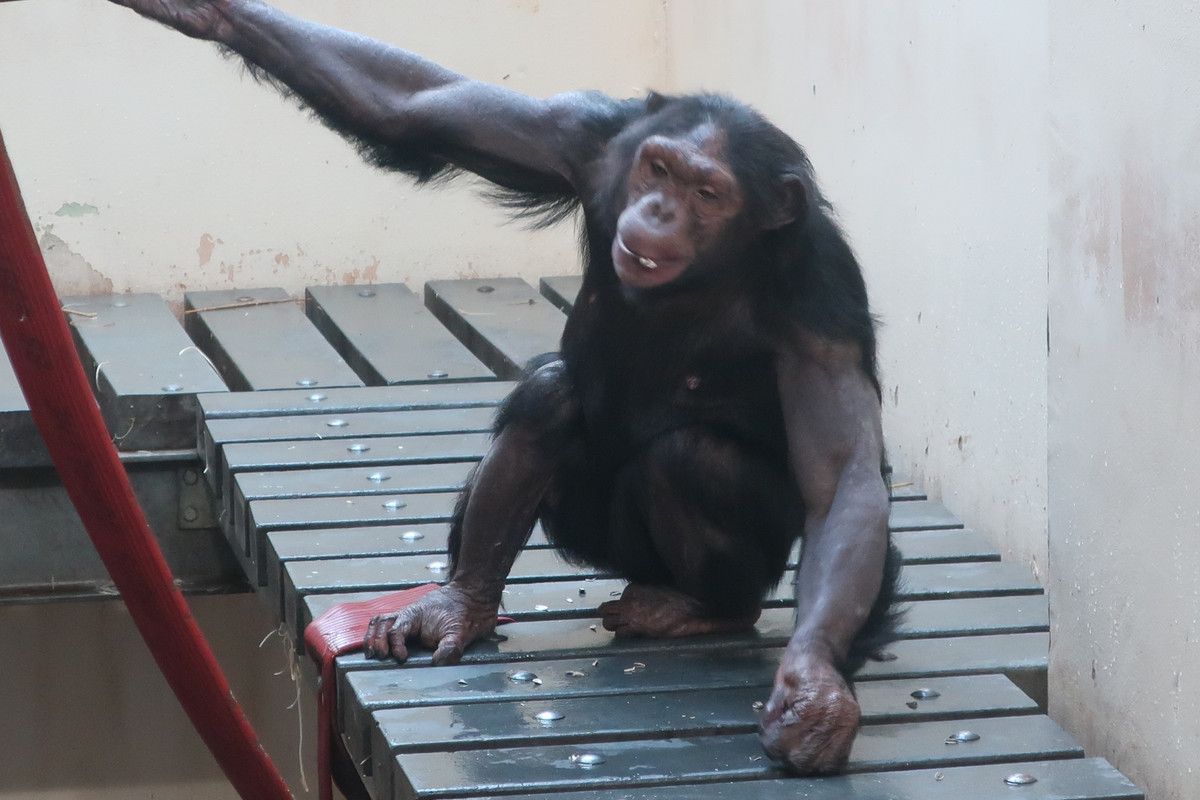 IMG 0785 — Postimages