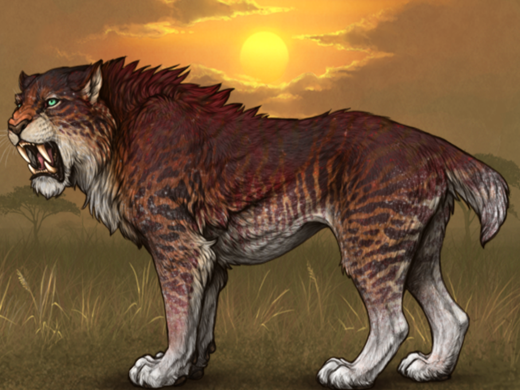 A guide to primals [WIP] :|: Lioden