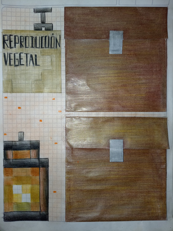 Minecraft Chest Graphic Organizer