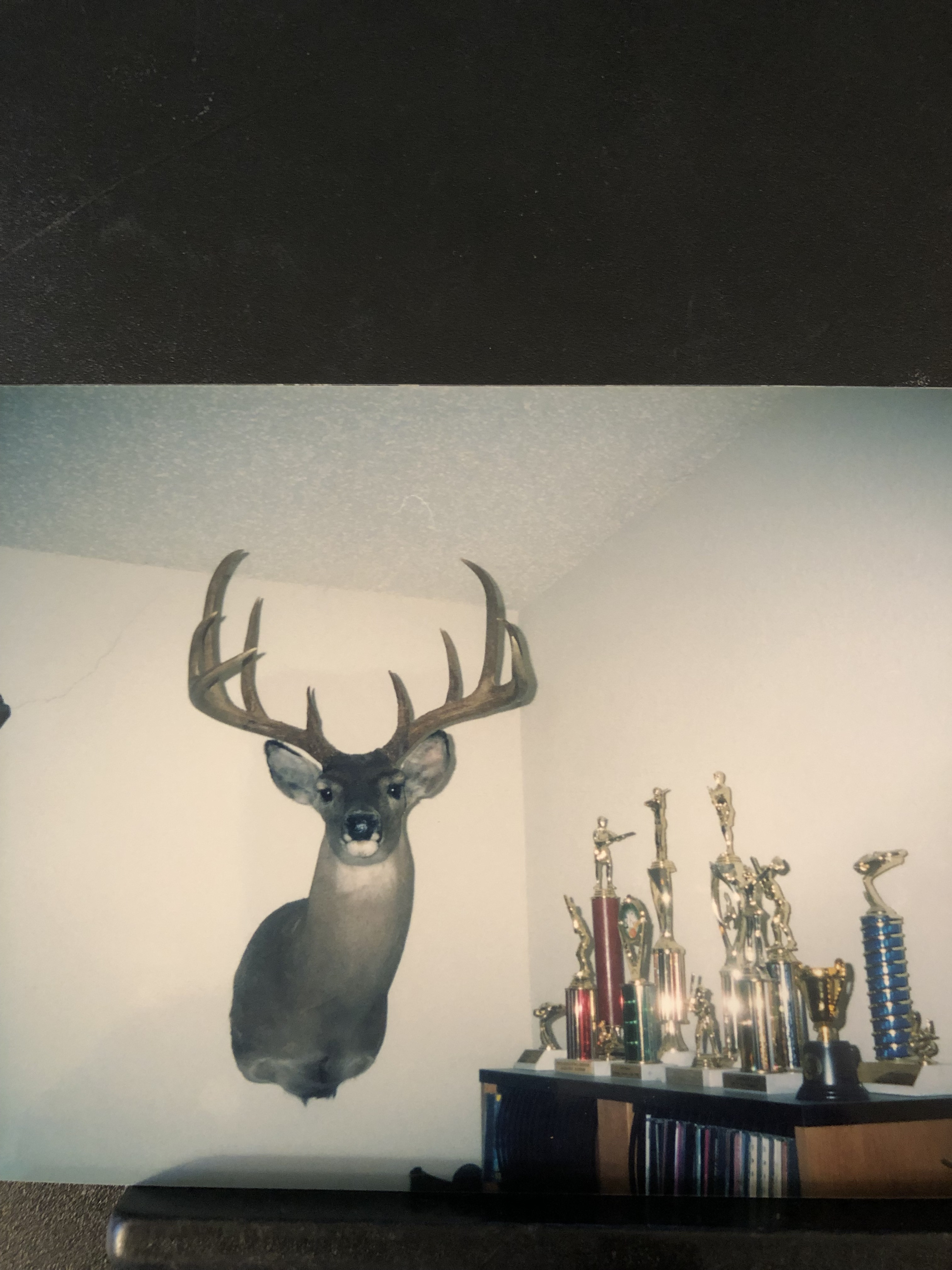 IMG 5198 — Postimages