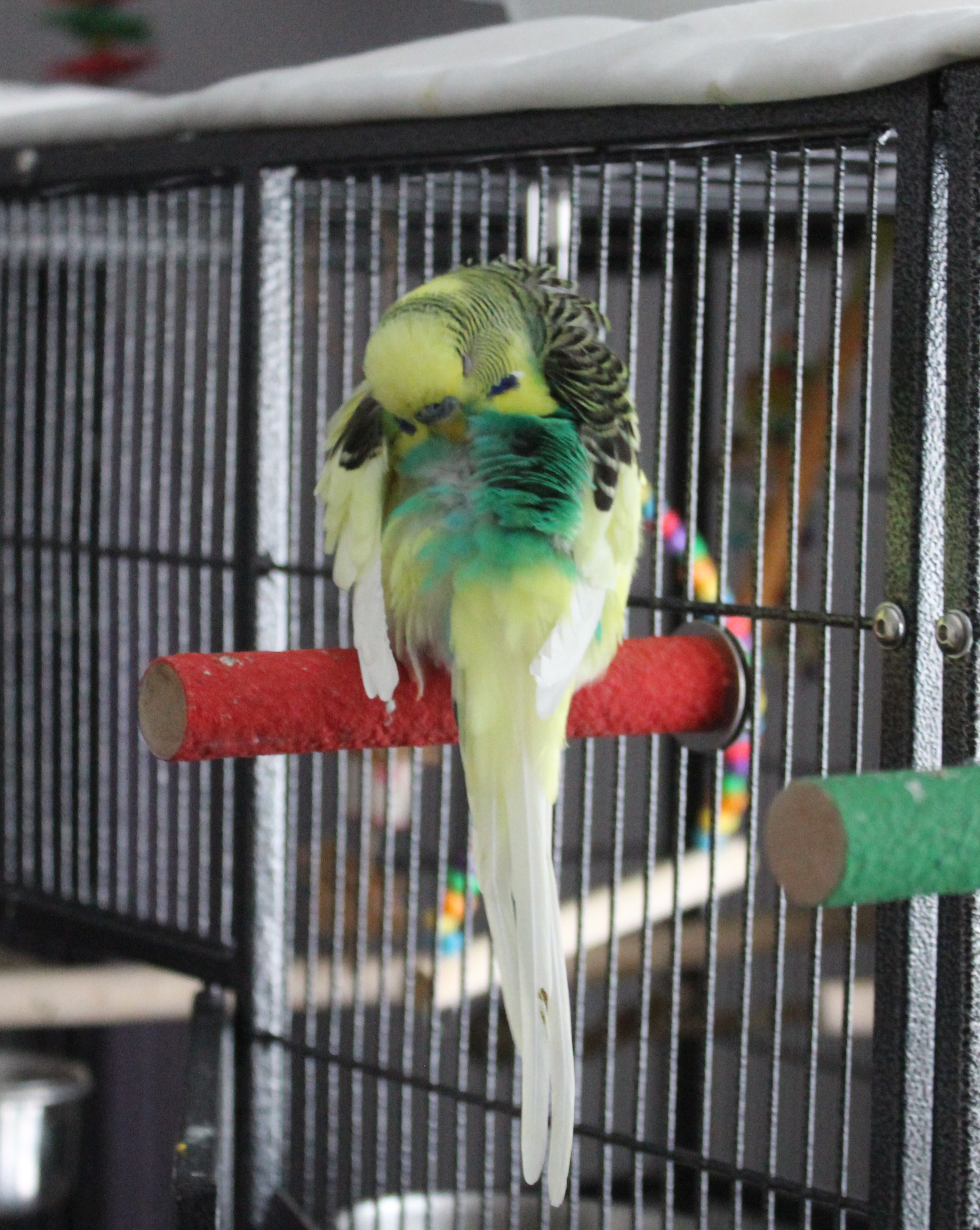 20230822095825 IMG 0865 — Postimages