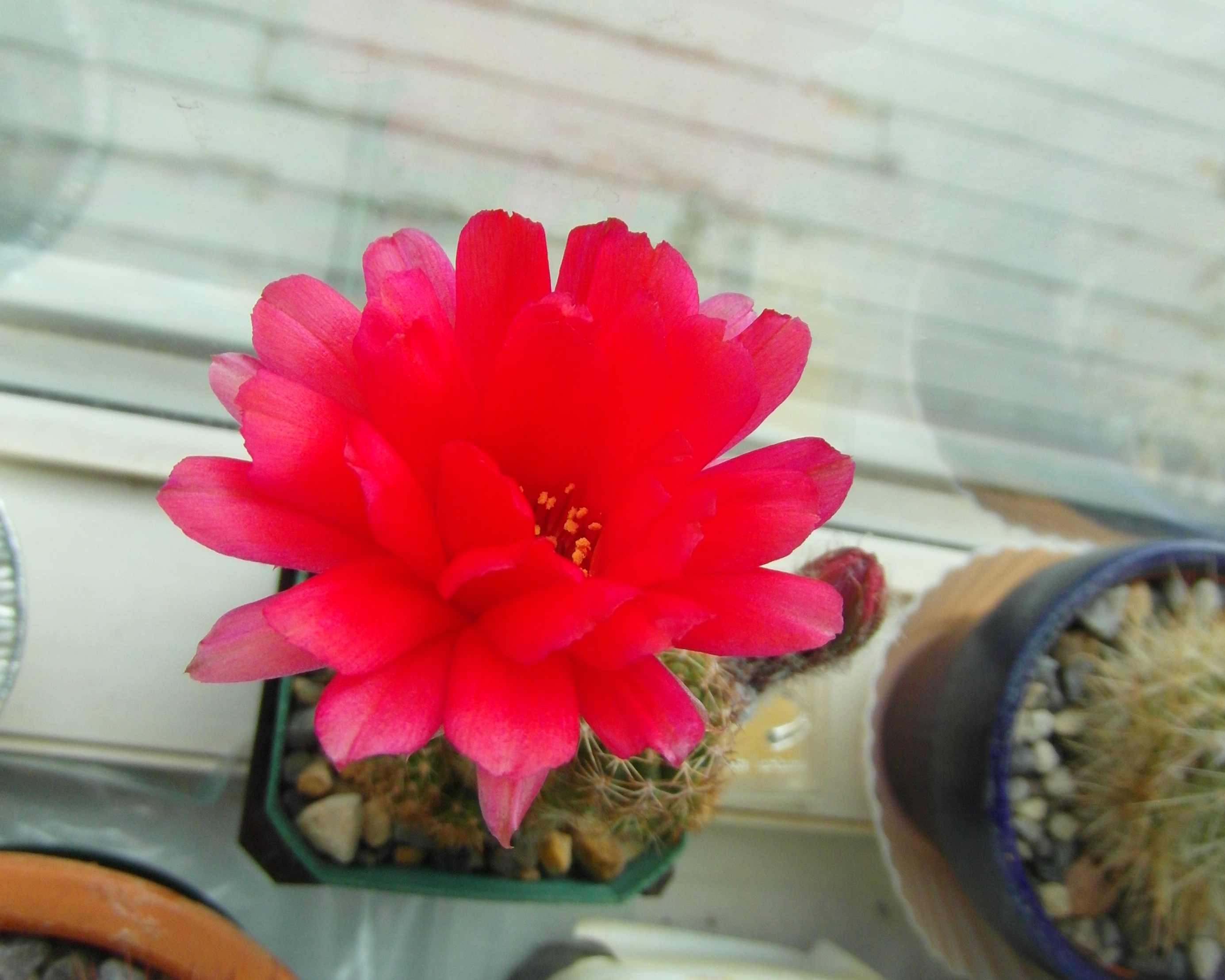 SAM 6324 — Postimages