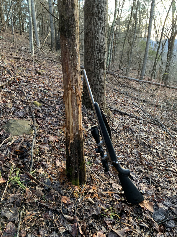 IMG 0129 — Postimages