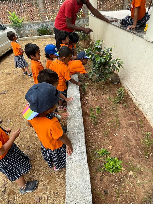 IMG 8984 — Postimages