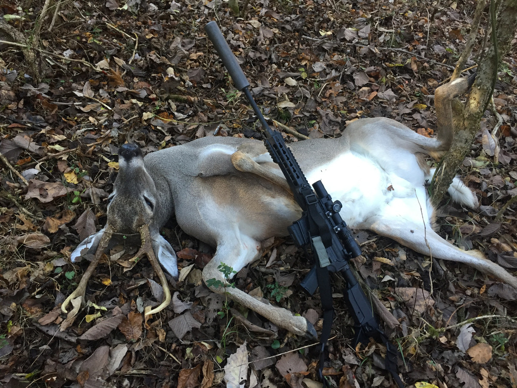 IMG 2686 — Postimages