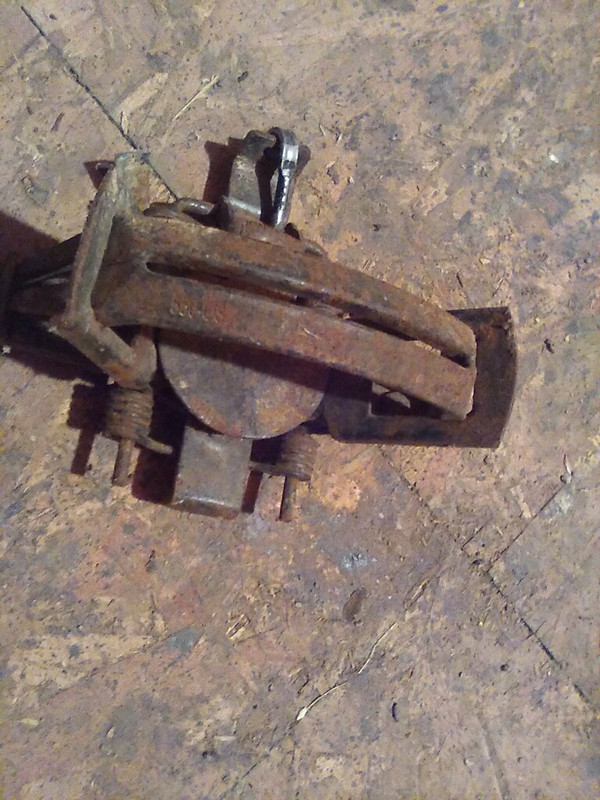 imagejpeg 1 — Postimages