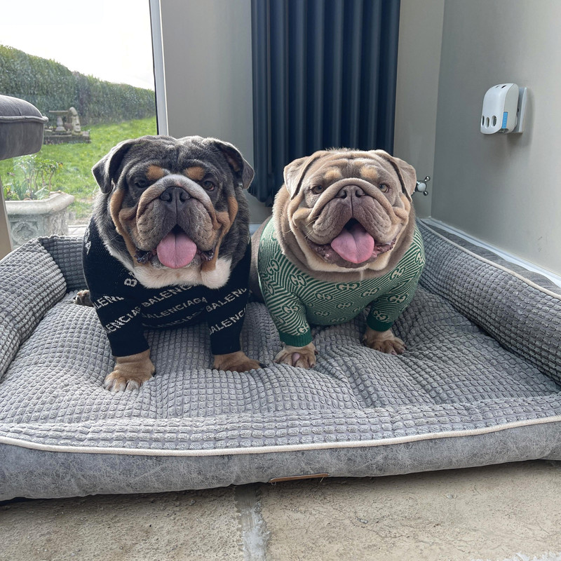 sharpened — Postimages