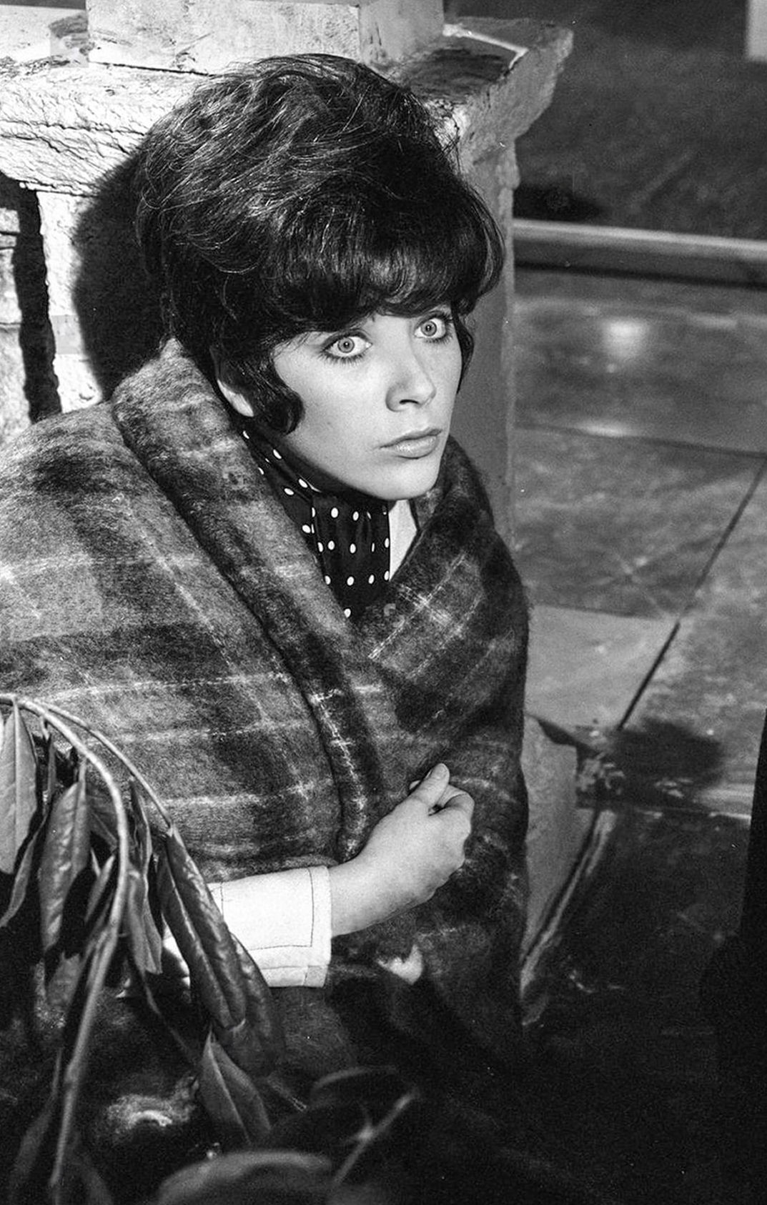 thorson 20 02 2022 04 — Postimages