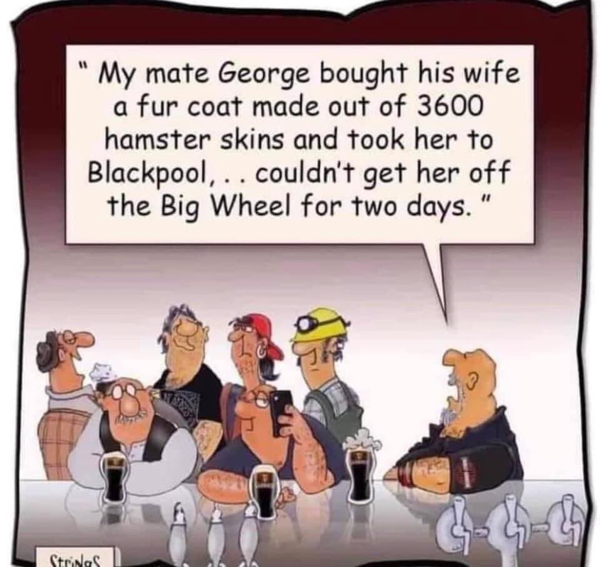 jokehamster — Postimages