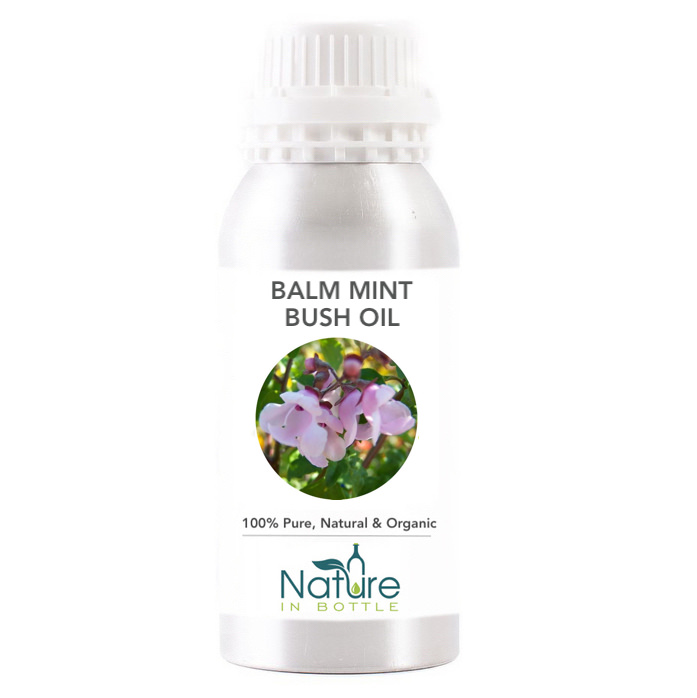 Balm Mint Bush Oil Organic - Prostanthera Melissifolia