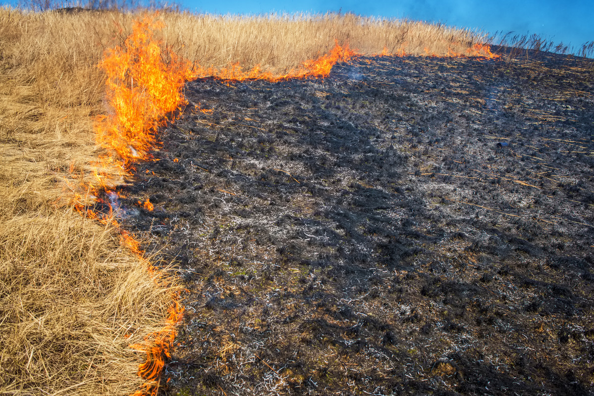 grass fire — Postimages