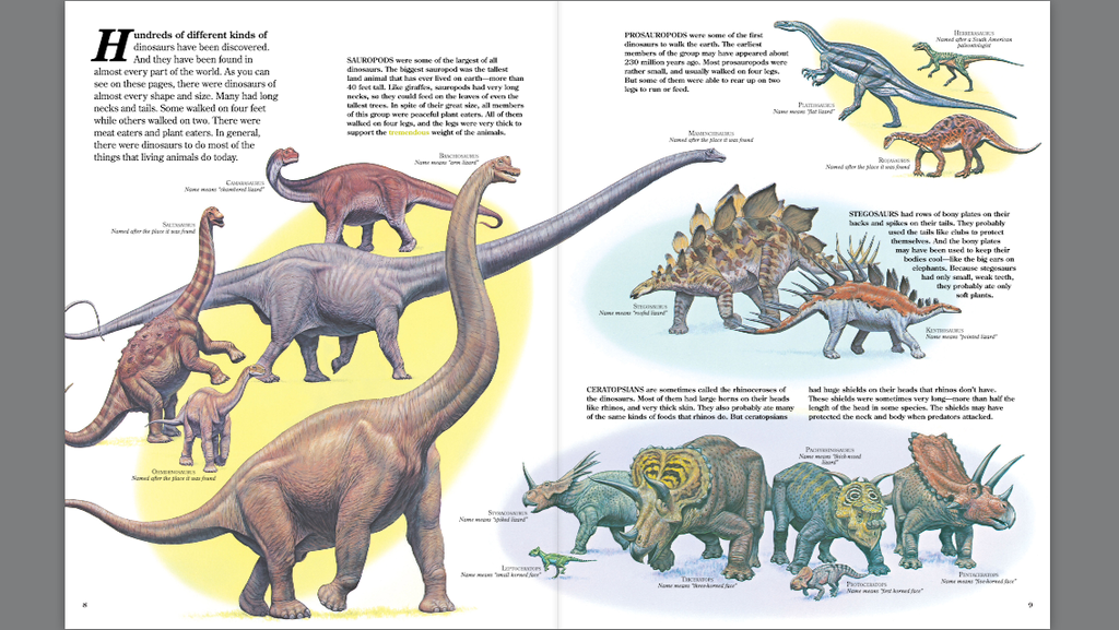 IMG 3054 zpsrswm71ff — Postimages