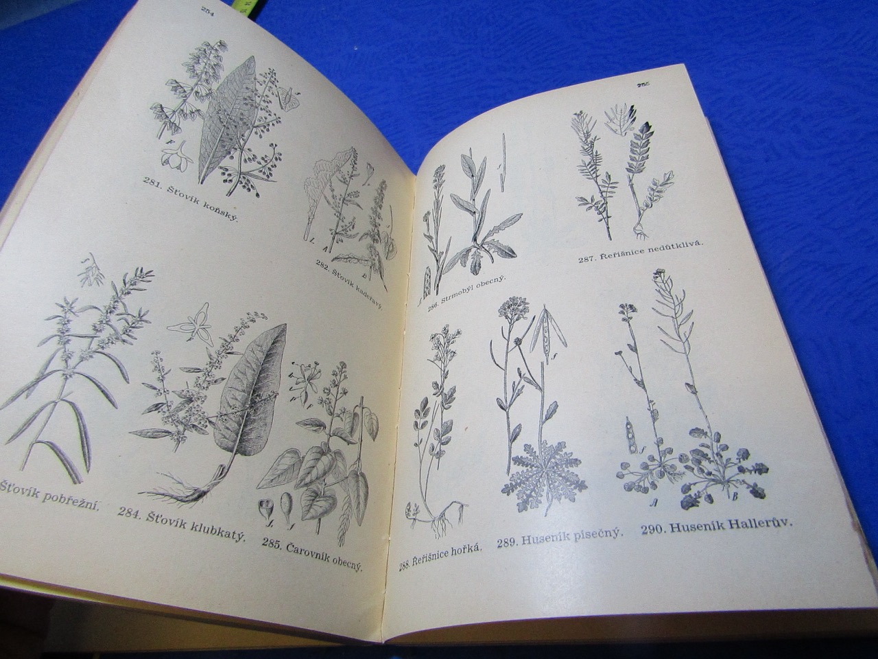 IMG 1854 — Postimages