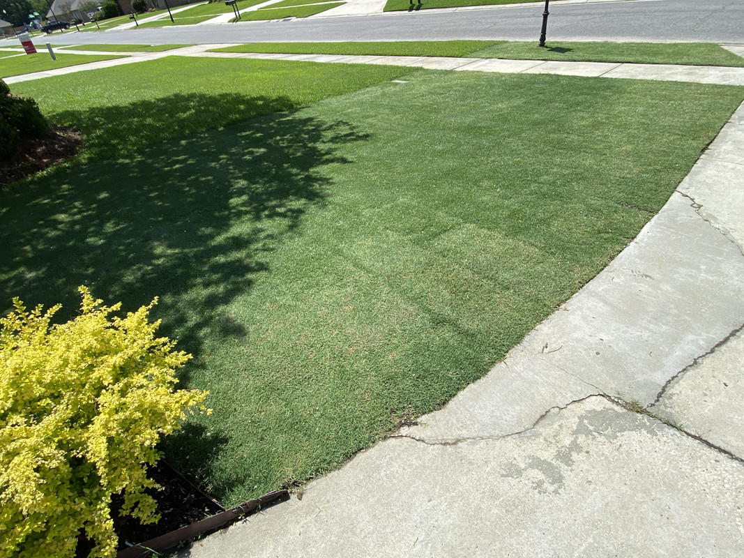 IMG 6951 — Postimages