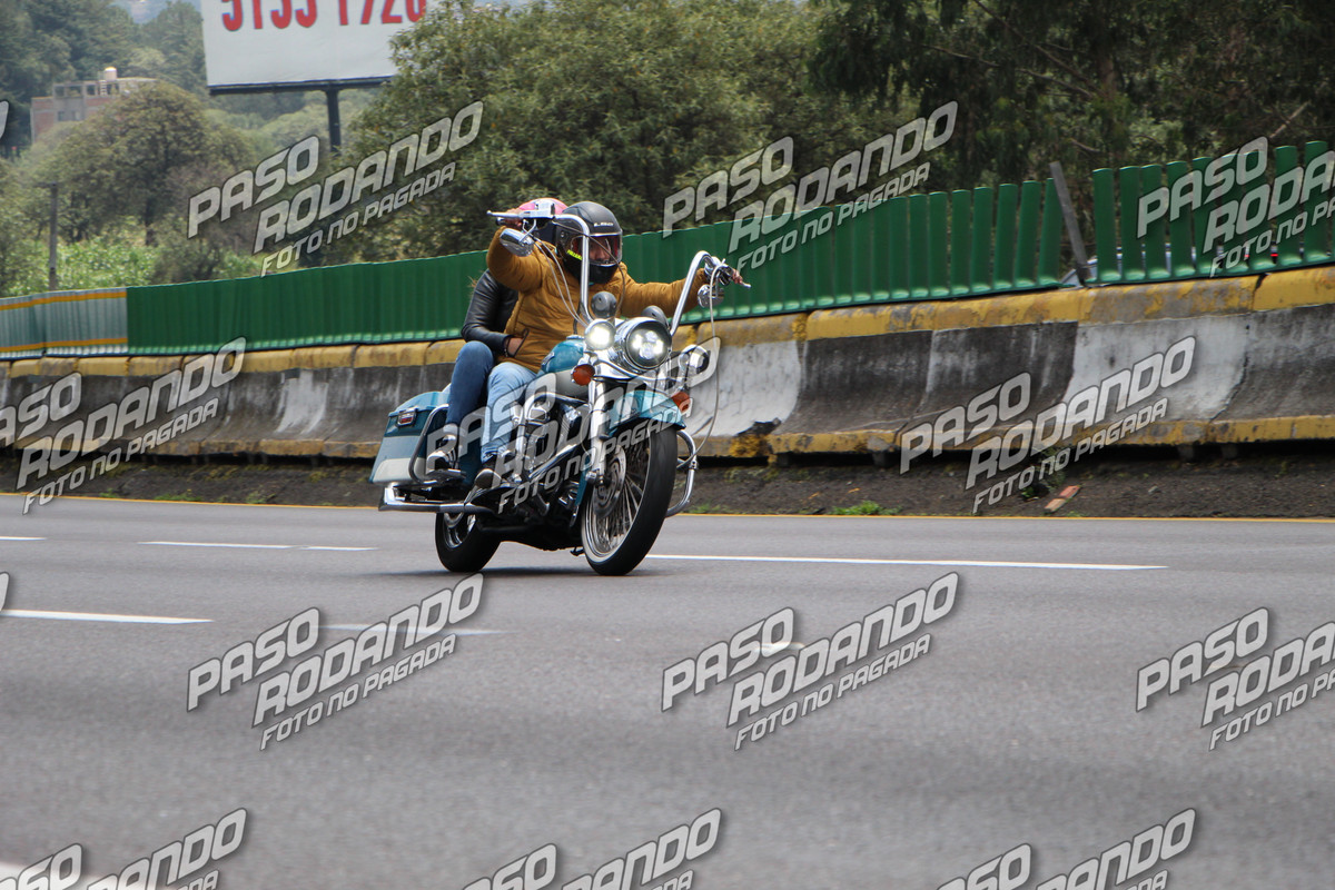 IMG 2379 wm 85260 19999999925 watermarked — Postimages