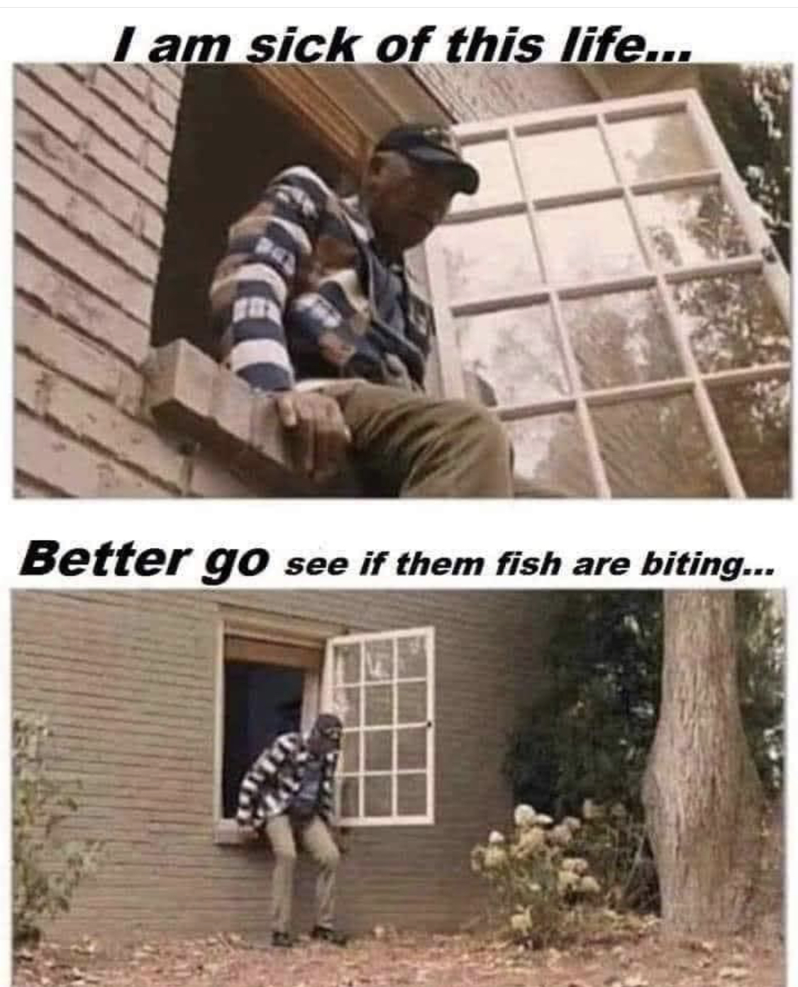 IMG 4474 — Postimages