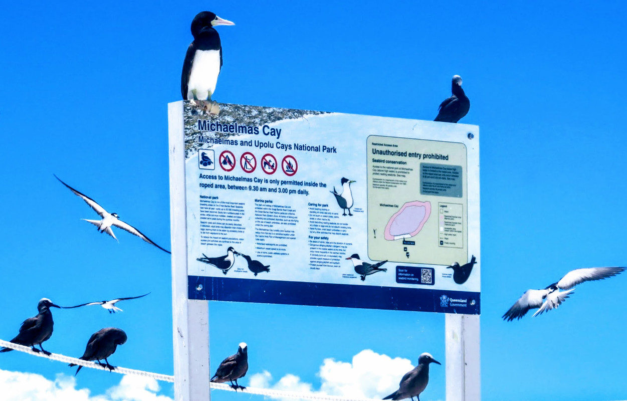 IMG 0063 — Postimages