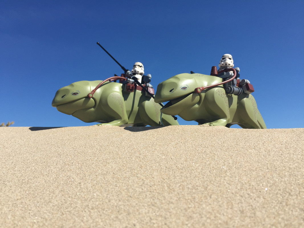 800 F9892 B081 4 F17 A316 064 B466 A01 DC — Postimages