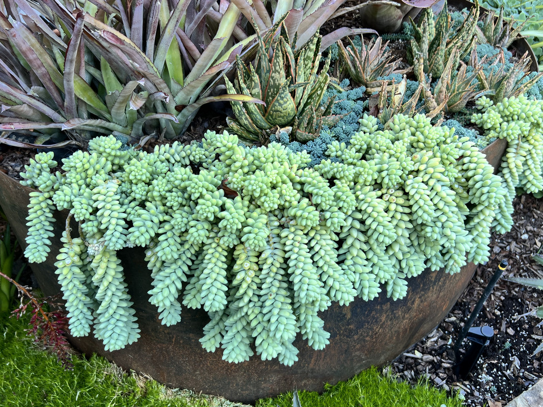 IMG 0785 — Postimages