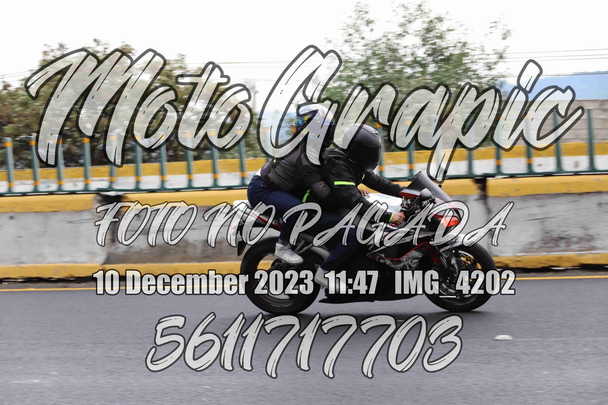 motgr IMG 4202 — Postimages