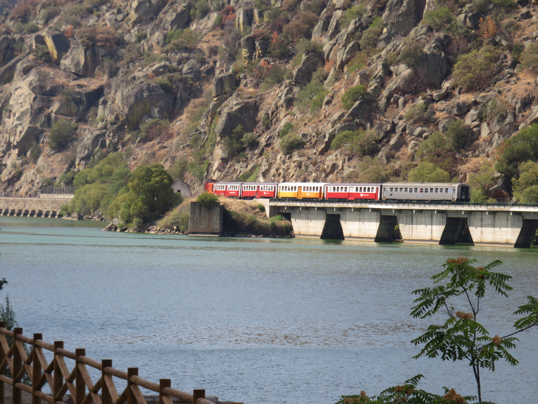 IMG 6010 — Postimages