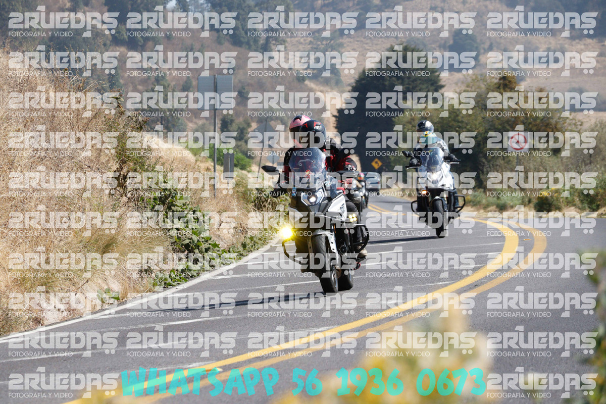 MG 0457 — Postimages