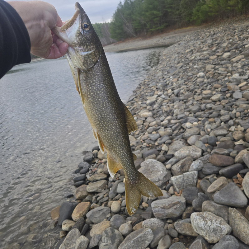 20260404 072823 — Postimages