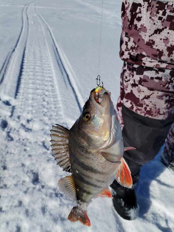 IMG 20240302 132009 — Postimages