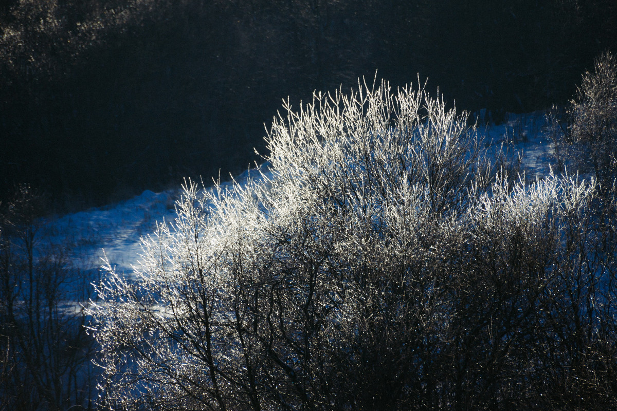 0042 2022 11 30 1 Ds m3 DMR 0075 — Postimages