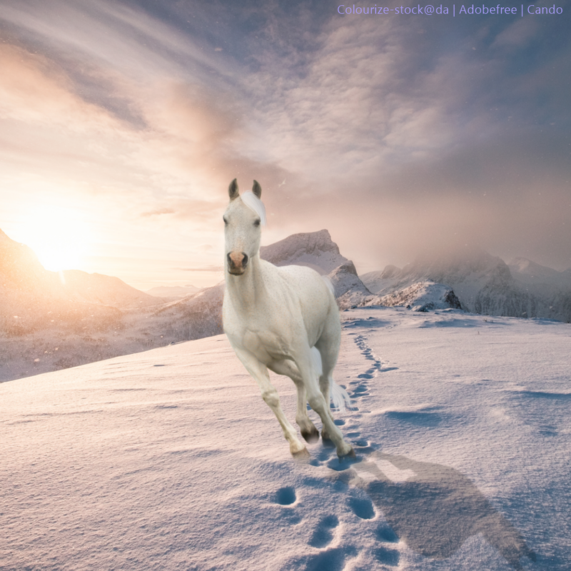 Snowymountflee OG — Postimages